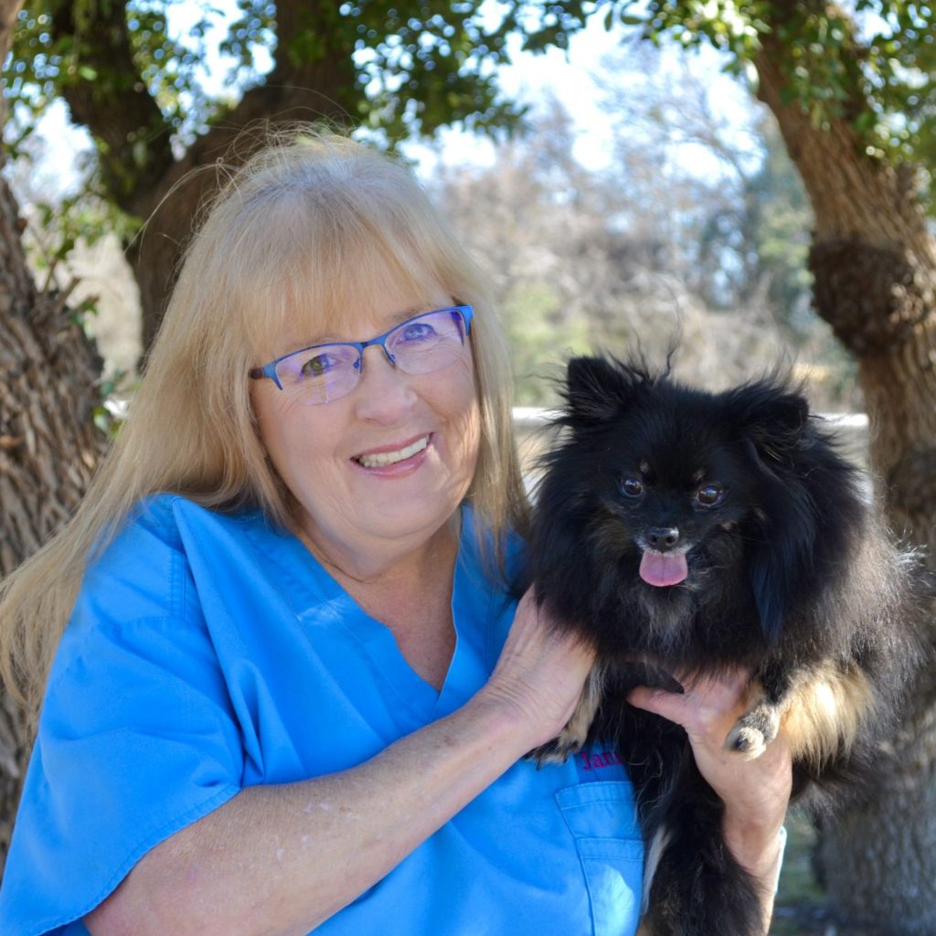 Our Team | North Texas Veterinary Hospital